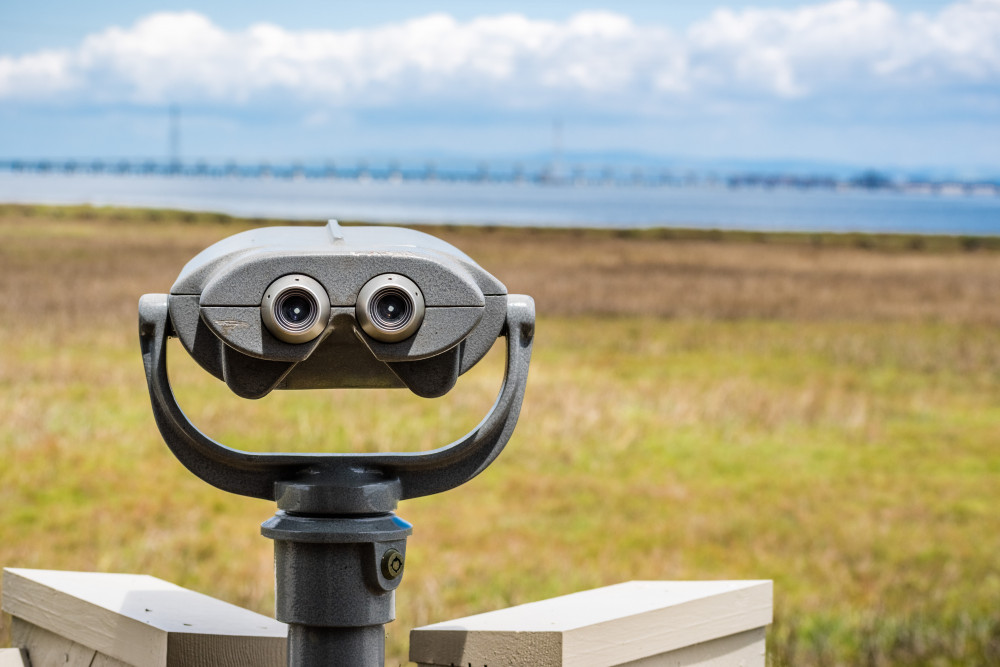 Exploring the World of Catadioptric Telescopes: Types, Features, and ...